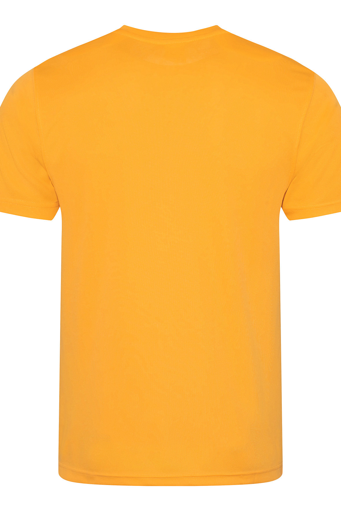 COOL T | CIT Website