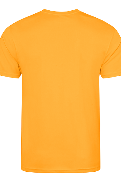 COOL T | CIT Website