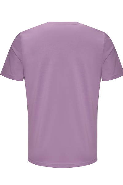 AWDIS T | CIT Website